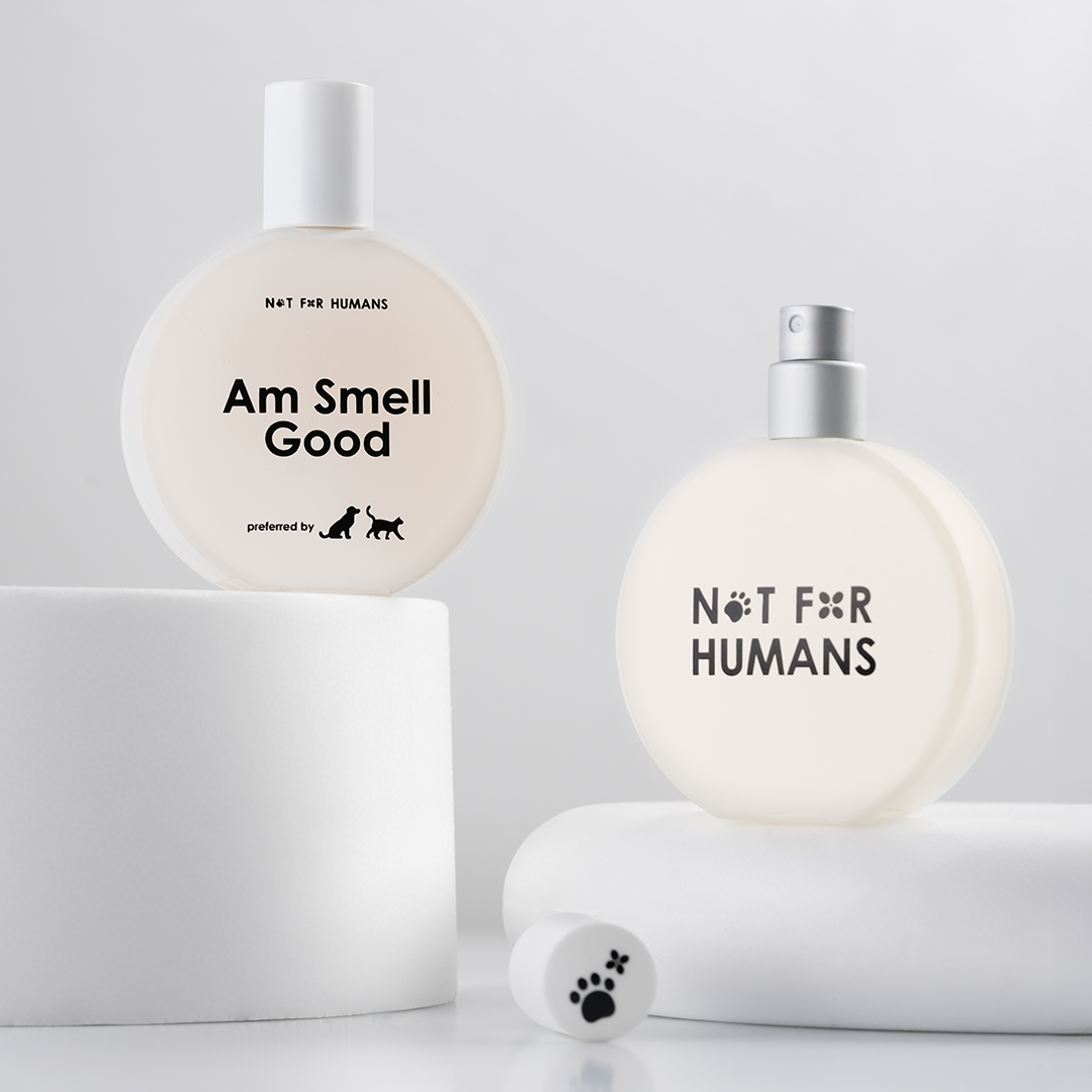 Not For Humans - Am Smell Good Pet Fragrance – HMNS Perfume