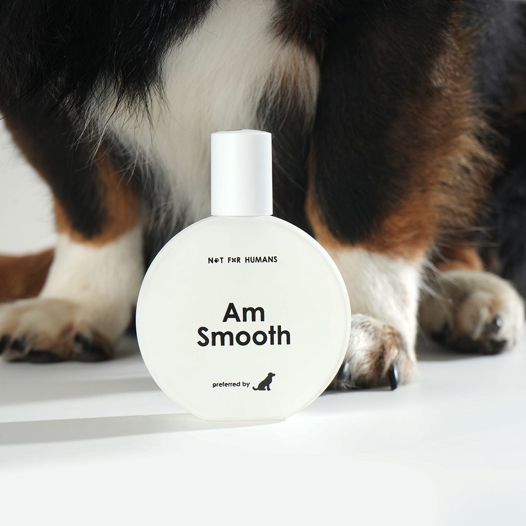 Not For Humans Am Smooth 50 ml – HMNS Perfume